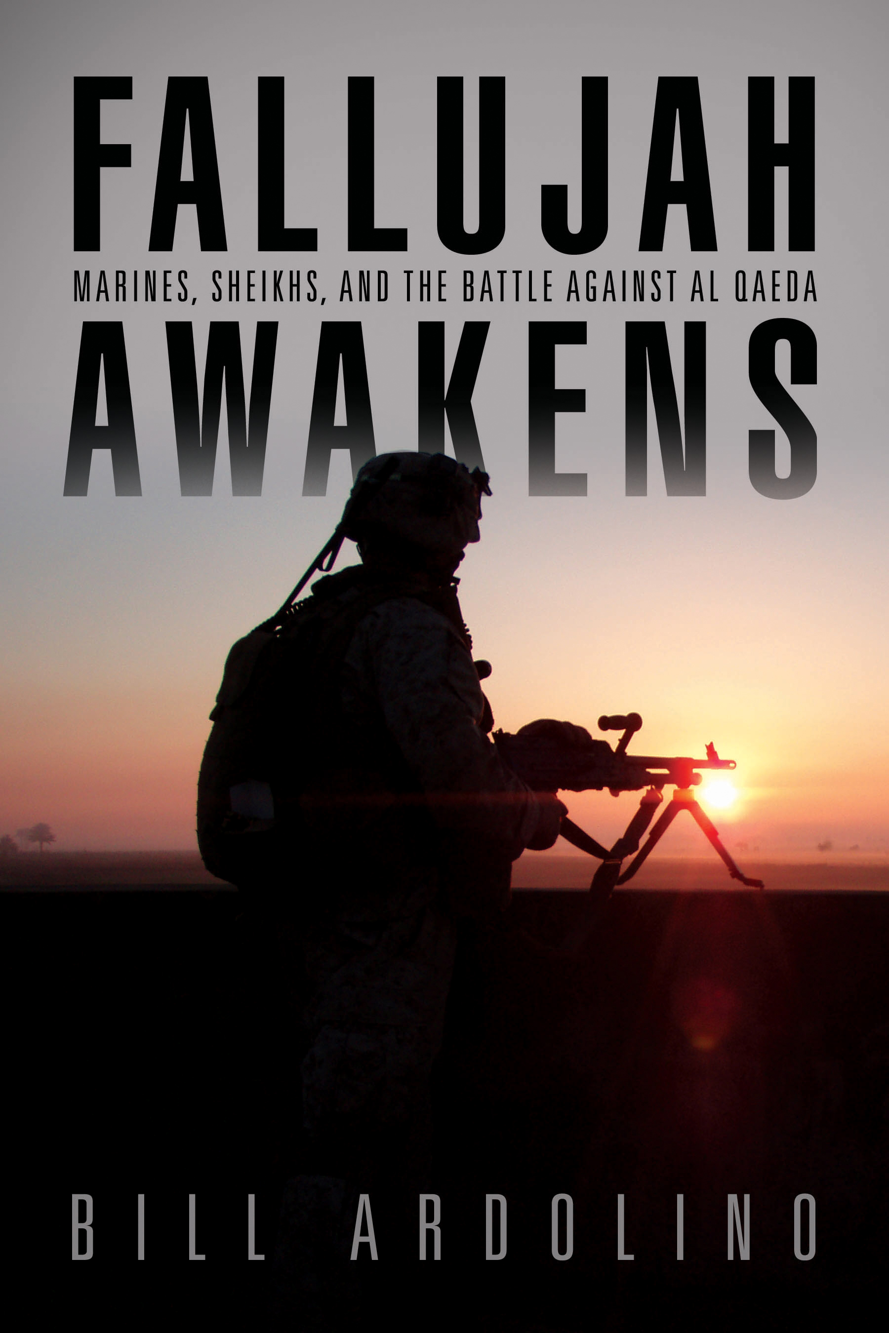 Fallujah Awakens | U.S. Naval Institute
