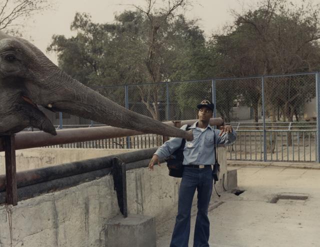 The Elephant in the Archive | Naval History Magazine - December 2020 ...