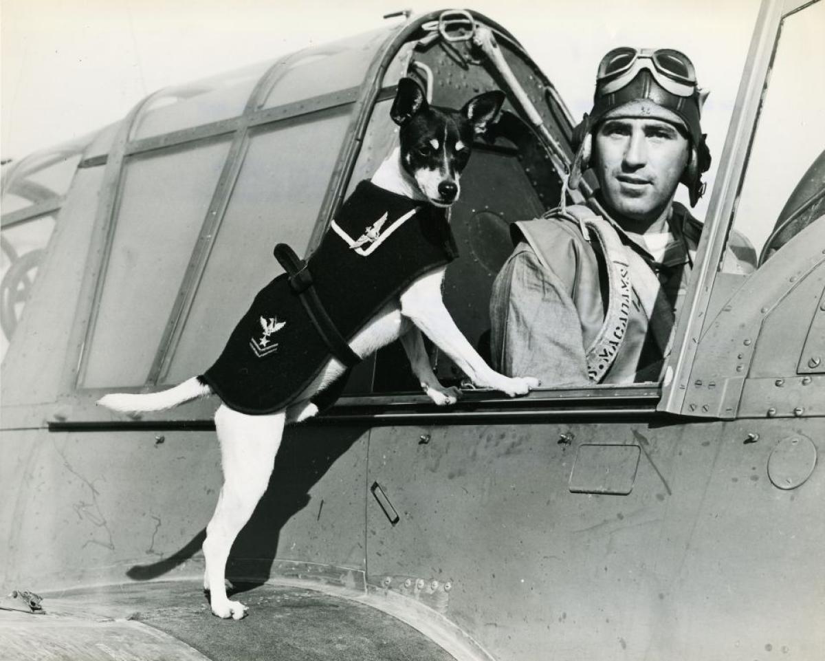 Sea Dogs | Naval History Magazine – December 2021 Volume 35, Number 6