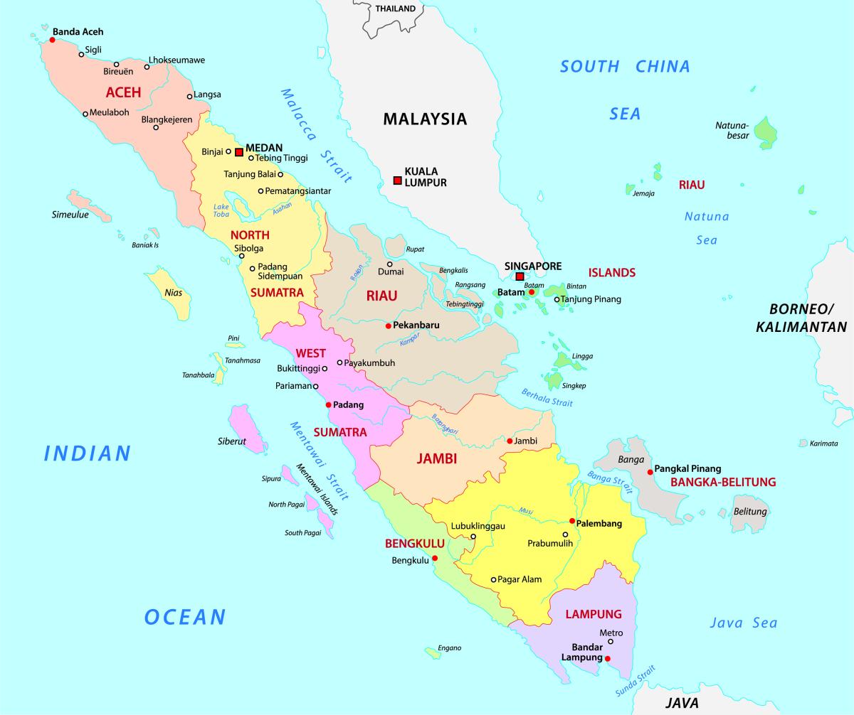 How the NYPD Can Help Fight Terrorism in Indonesia | Proceedings ...