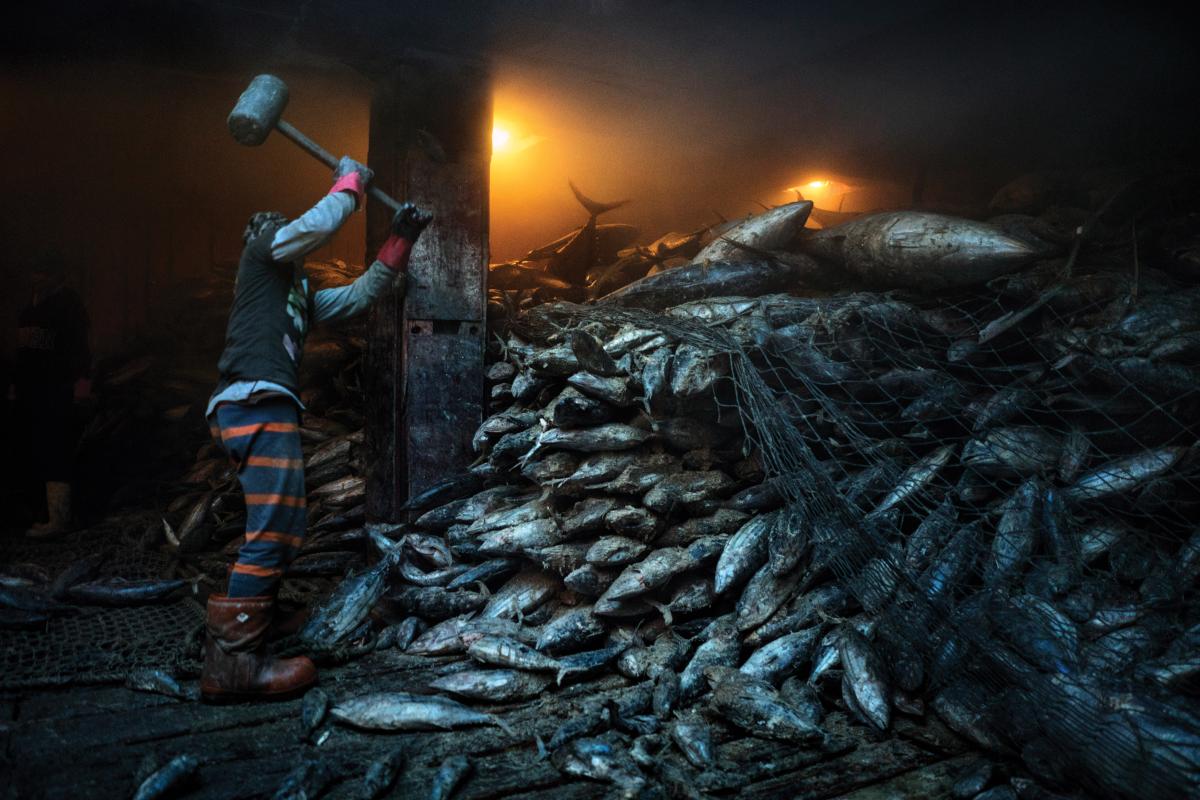 A Global Fish War is Coming | Proceedings - August 2017 Vol. 143/8/1,374