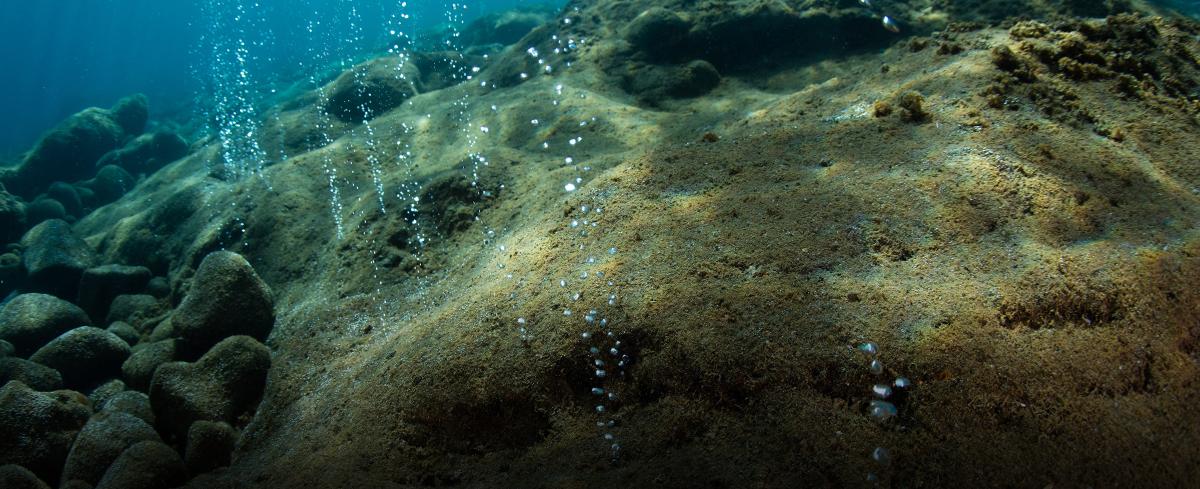 Seafloor Mining: A Good Deal or a Bad Idea? | Proceedings - November ...