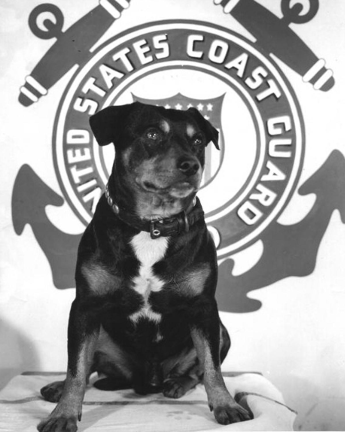 Sinbad - The Dog Behind the Legend | Naval History Magazine – December ...